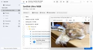 8 Best SanDisk SD Card Recovery Software Tools in 2024