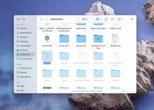 How to Show Hidden Files and Folders on Your Mac [Full Guide]