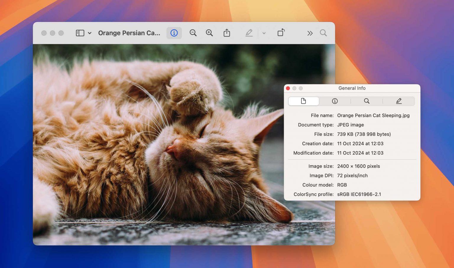 What is JPG File? How to recover deleted, corrupted JPEG