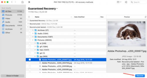 How to Recover Data from Mac Hard Drive to PC [2022 Guide]