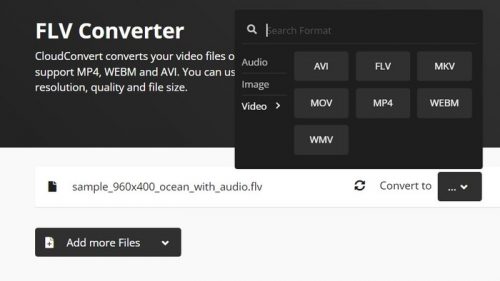 What Is an FLV File Extension & How to Recover Deleted FLV Files