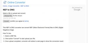 What Is NEF File Format & How To Recover NEF Files