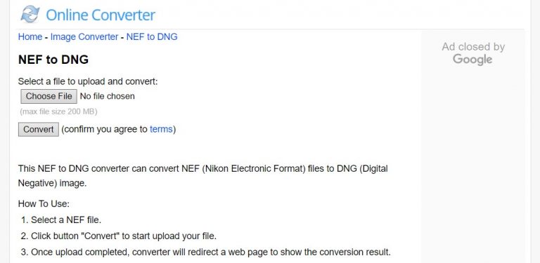 What Is NEF File Format & How To Recover NEF Files