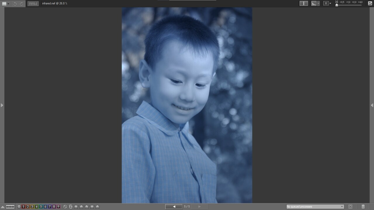 What Is NEF File Format & How To Recover NEF Files