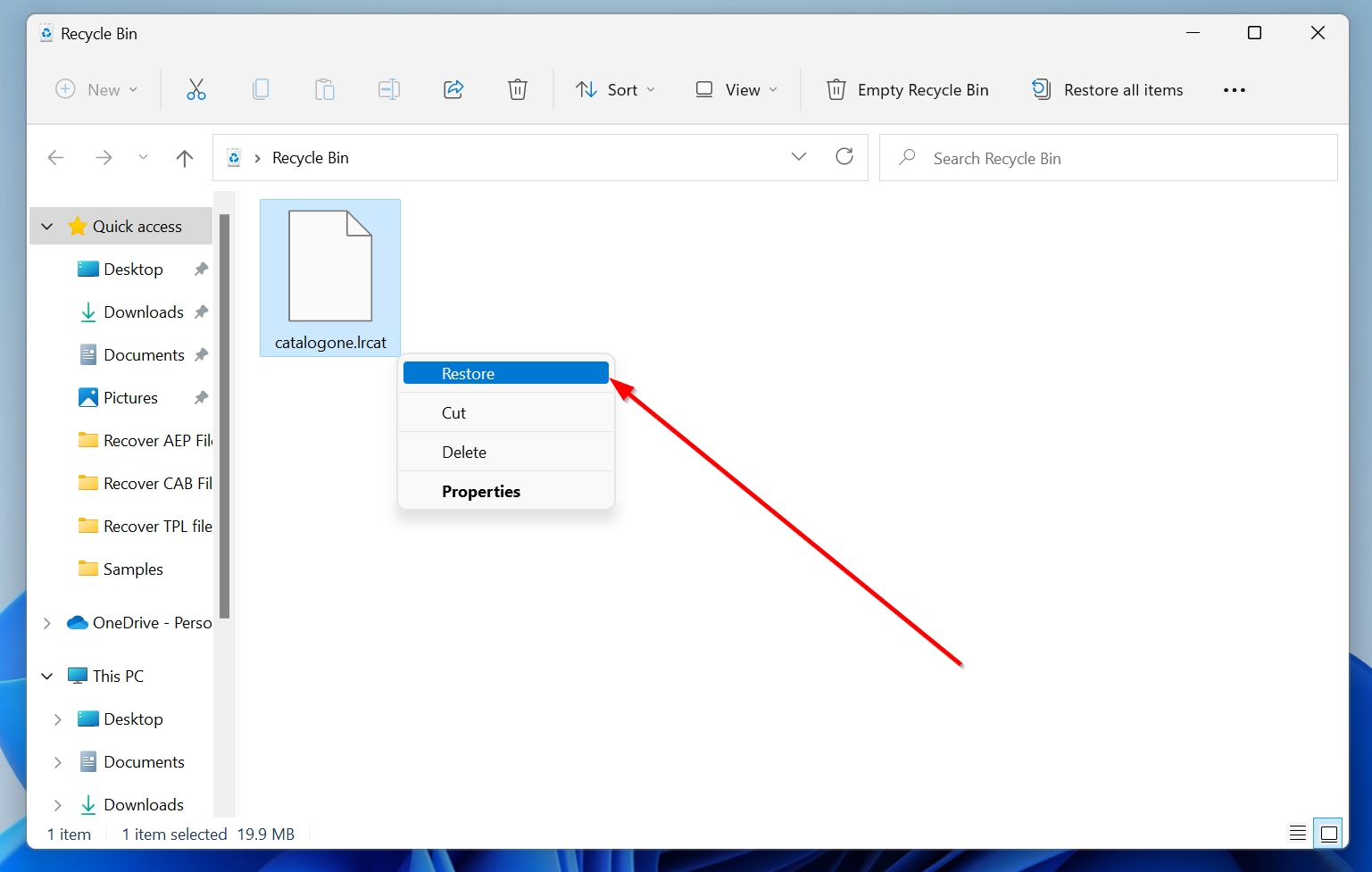 What Is an LRCAT File Format & How to Recover Deleted LRCAT Files