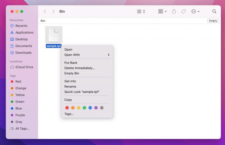 What Is a TPL File Extension & How to Recover Deleted TPL Files