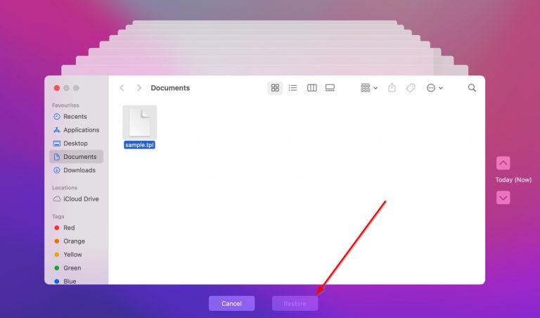 What Is a TPL File Extension & How to Recover Deleted TPL Files