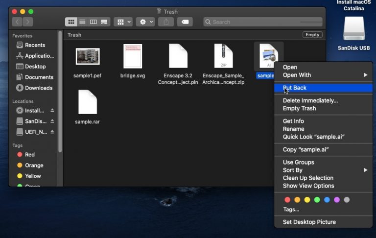 How to Recover Deleted / Unsaved Adobe Illustrator (AI) File