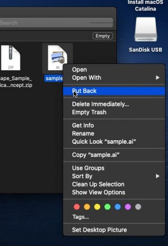 What is RAF File Format & How to Recover Deleted RAF Files