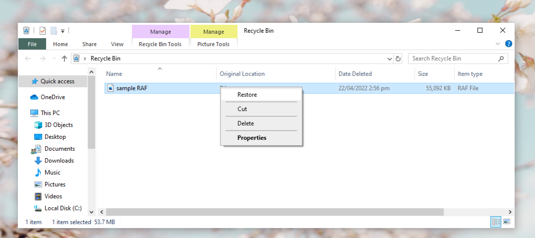 What is RAF File Format & How to Recover Deleted RAF Files