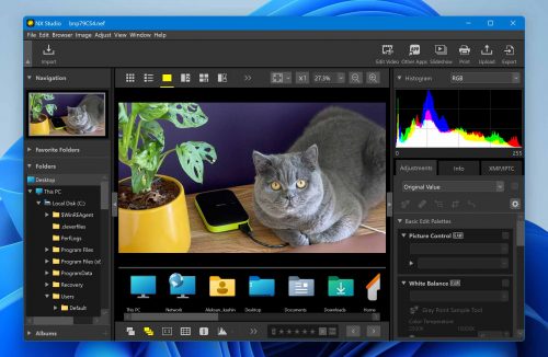 What Is NEF File Format & How To Recover NEF Files