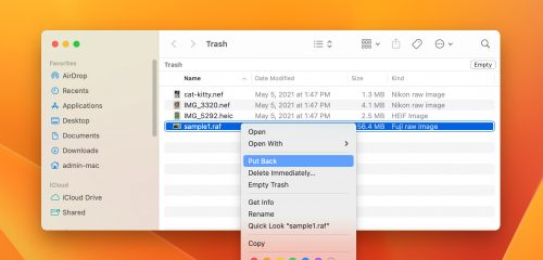 What is RAF File Format & How to Recover Deleted RAF Files