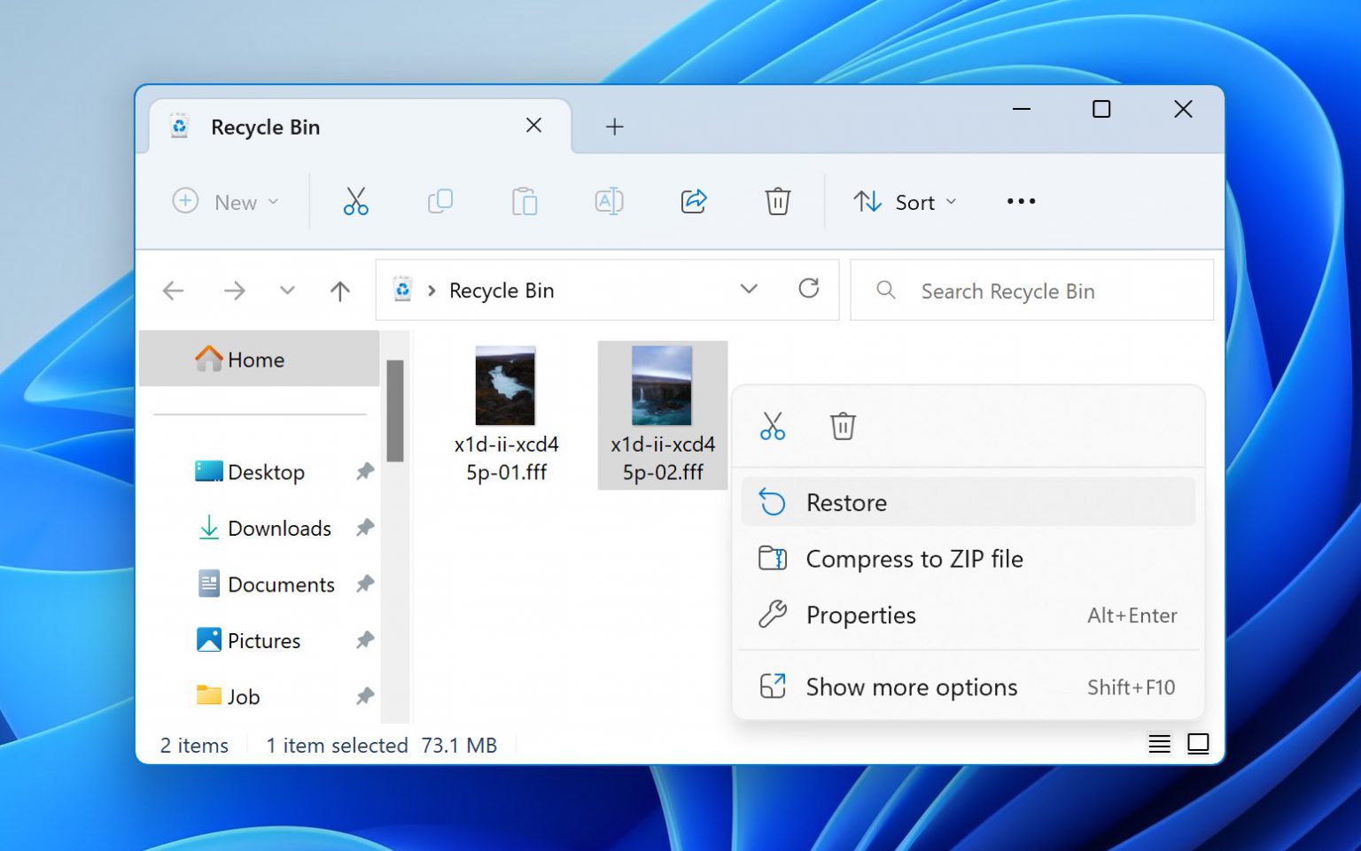What Is an FFF File & How to Recover Deleted FFF Files