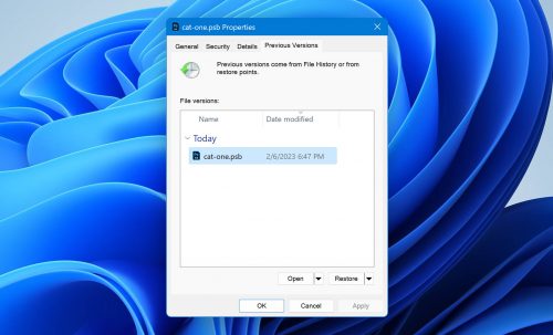 What is PSB File Type - How‌ ‌to‌ ‌Recover‌ ‌Deleted‌ PSB ‌Files‌