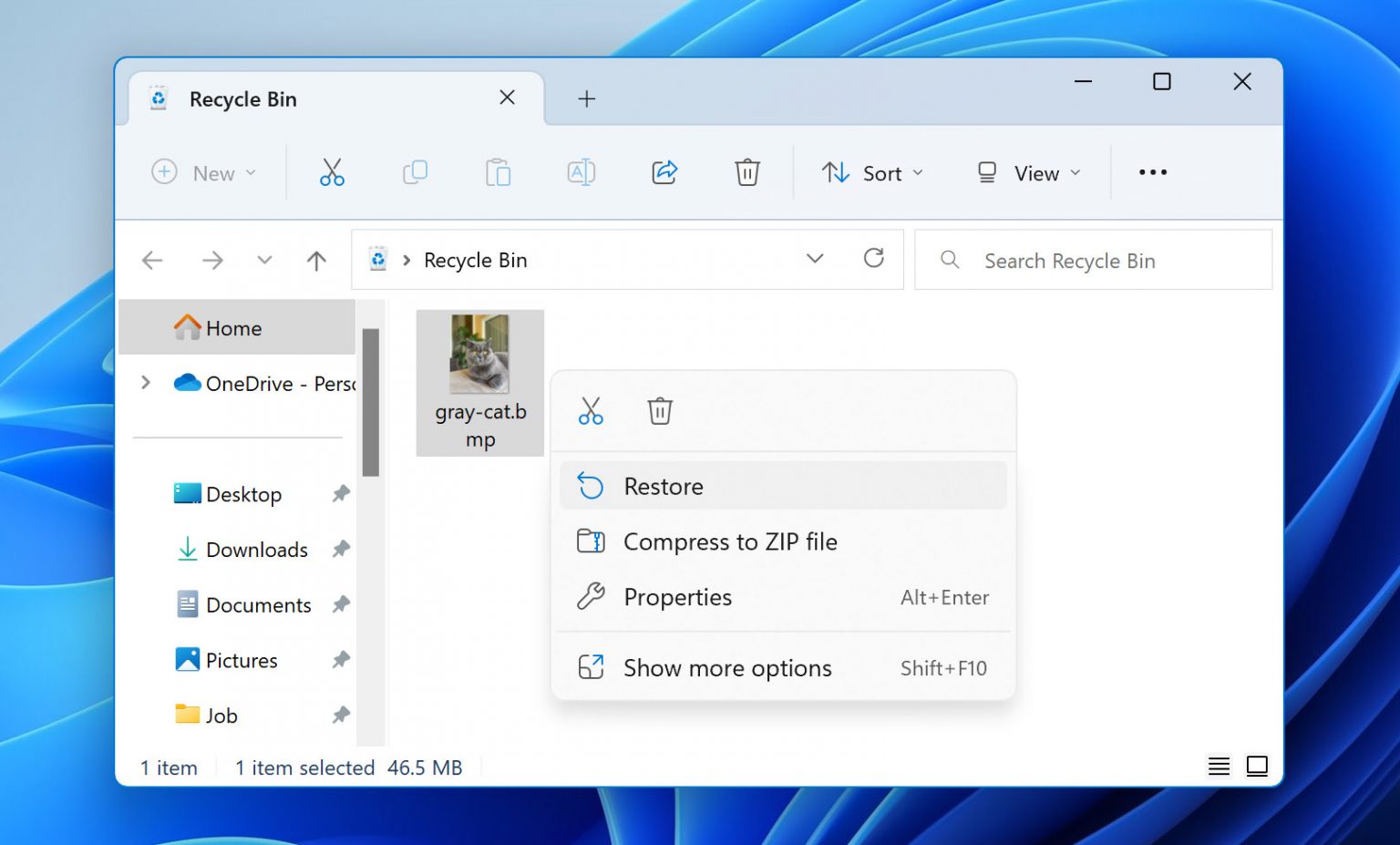What is the BMP File & How to Recover Deleted BMP