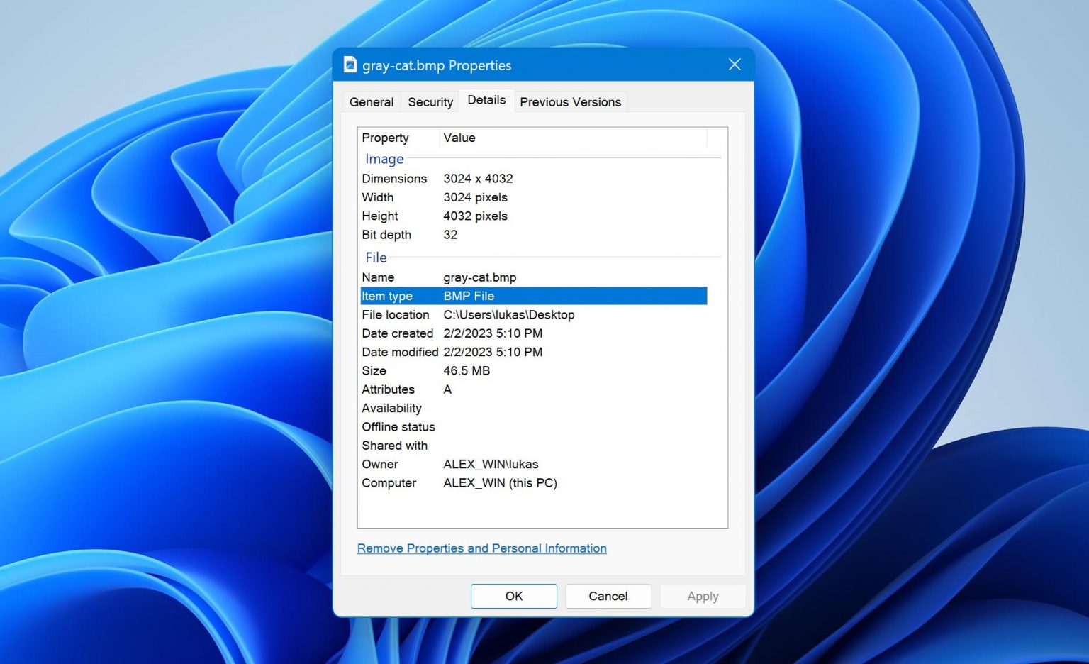 What is the BMP File & How to Recover Deleted BMP