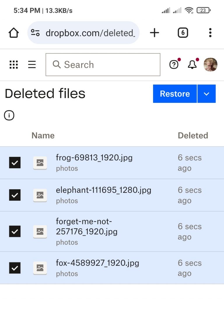 5 Ways to Recover Deleted Photos on Any Device (2026)