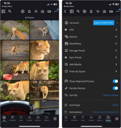 8 Best Photo Organizer Apps for iPhone (Including Free)