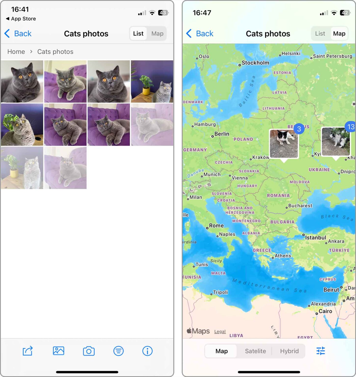 8 Best Photo Organizer Apps for iPhone (Including Free)