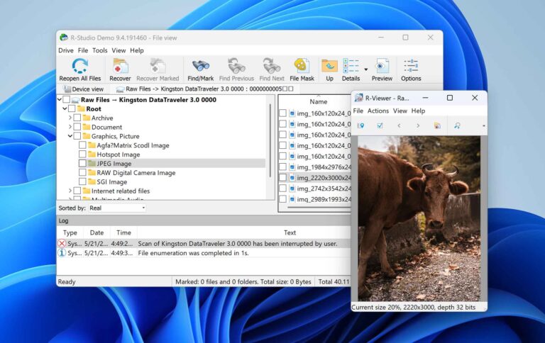 Best 5 Alternatives to Recuva for Windows in 2025