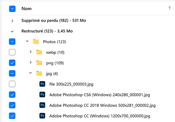 Logiciel de récupération de données de disque dur