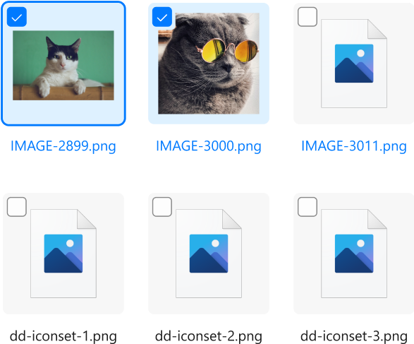 Disk Drill - Best Data Recovery Software for Mac & Windows. Free Try!